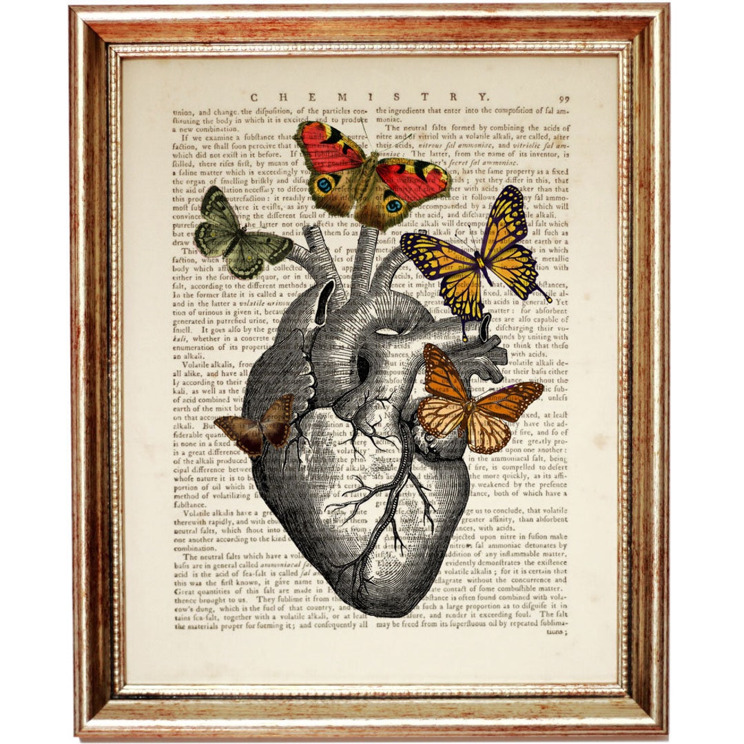 Buy Anatomical Heart & Butterflies Vintage Dictionary Art Print Online ...