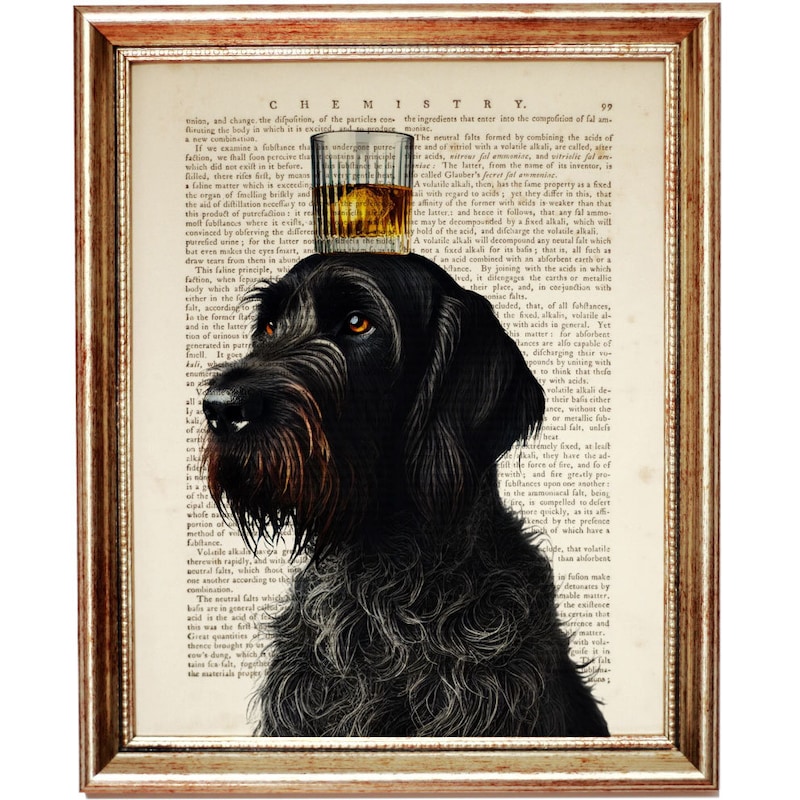 German Wirehaired Pointer - Etsy