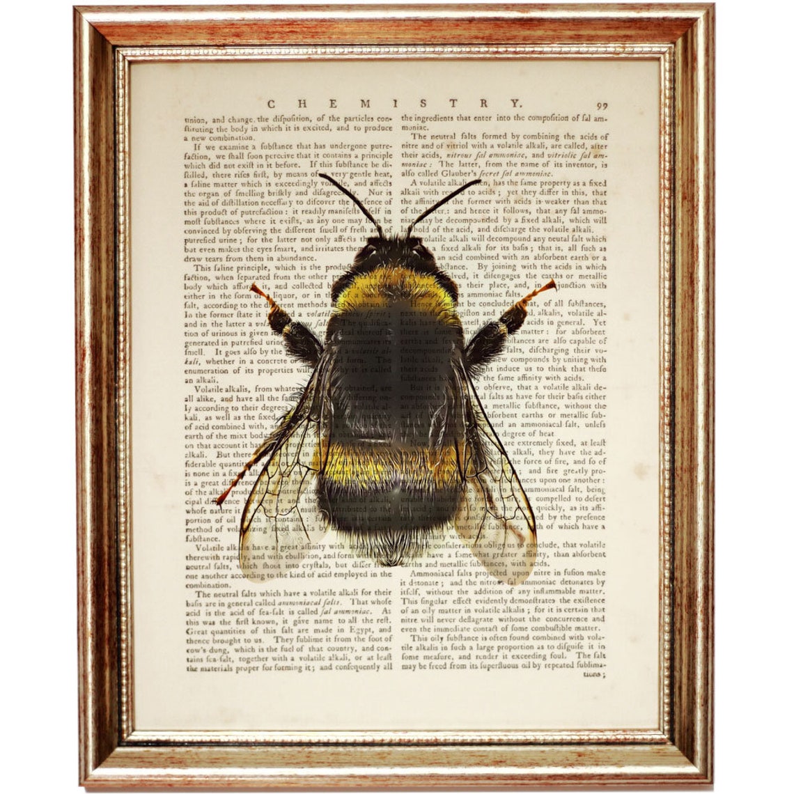 Set of 4 Prints Bumble Bee Wall Art Bumblebee Nursery Decor | Etsy
