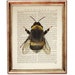 Set of 4 Prints Bumble Bee Wall Art Bumblebee Nursery Decor - Etsy