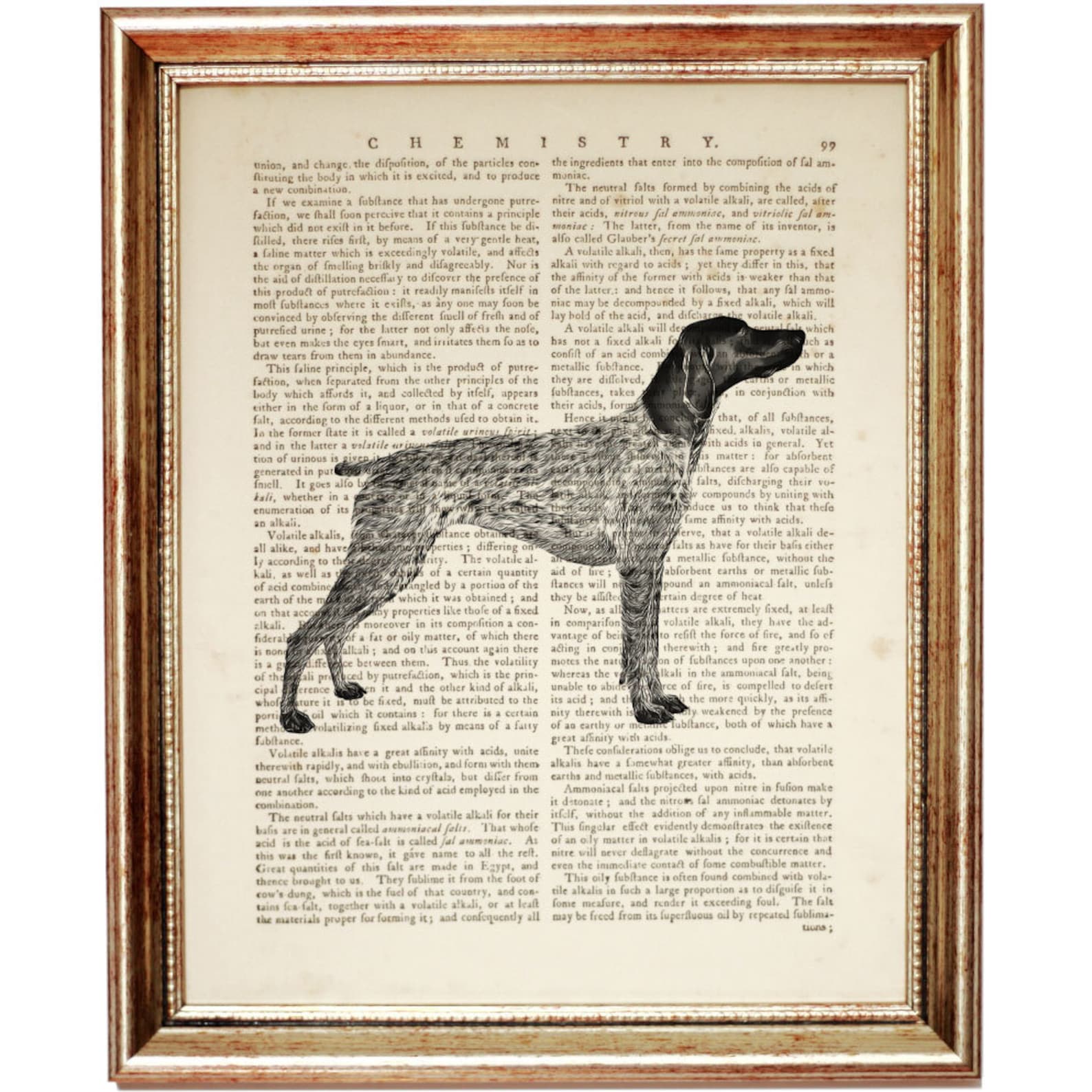 German Shorthaired Pointer Art Set, Set of 6 Dog Dictionary Art Prints ...