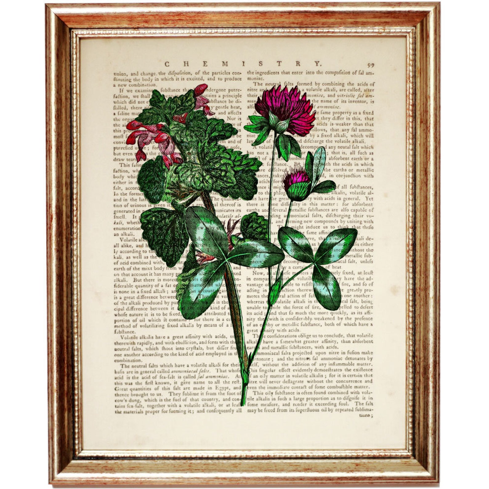 Set of 6 Prints, Botanical Poster, Flower Art Print, Flower Vintage ...