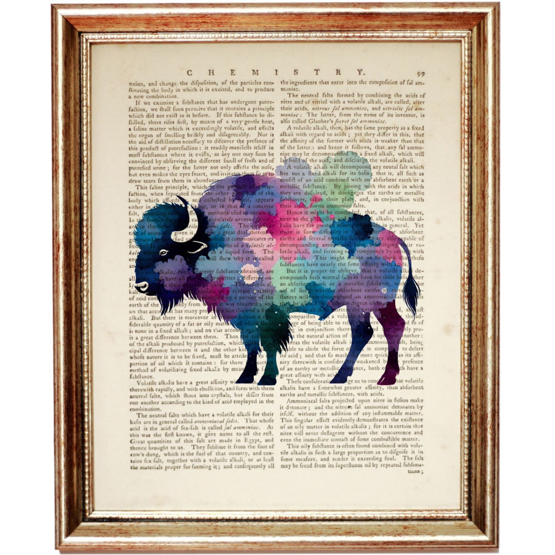 Watercolor Buffalo Dictionary Art Print, Vibrant Wildlife Wall Decor ...