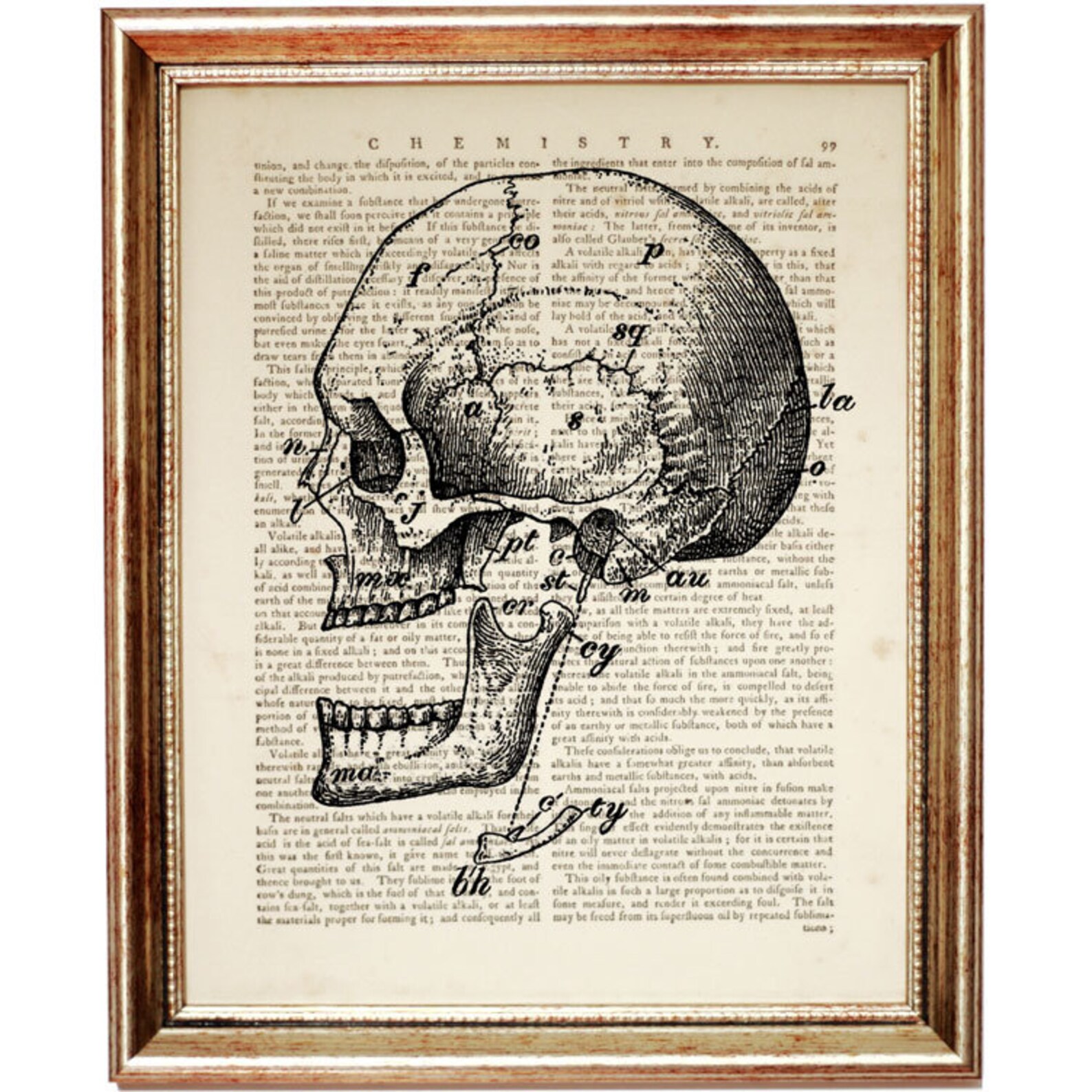 Set of 8 Prints, Anatomy Poster, Human Anatomy Art, Medical Dictionary ...