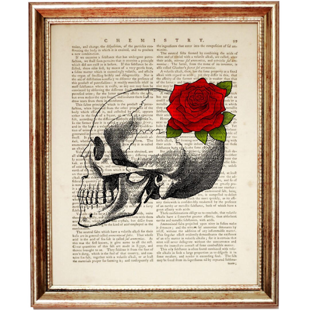 Human Skull With Red Rose Art Print, Anatomy Dictionary Book Page ...