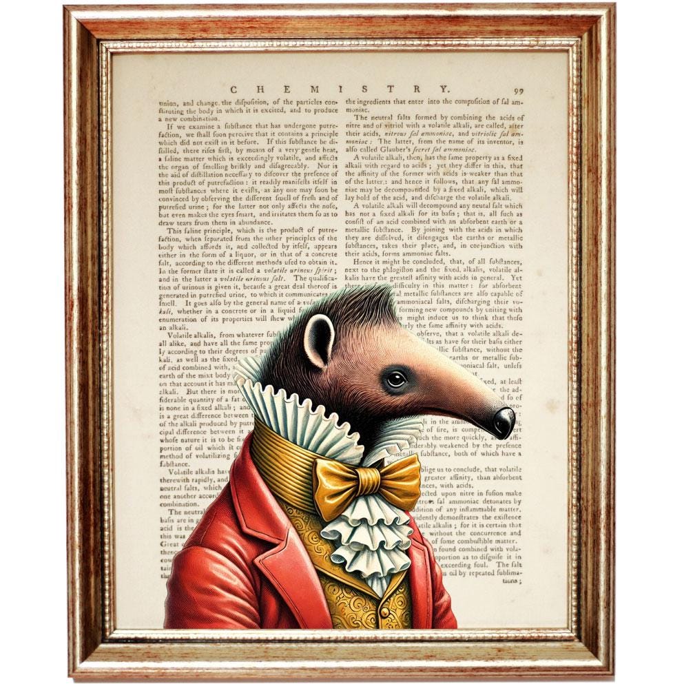 Anteater in Suit Dictionary Art Print, Jungle Animal Poster, Elegant ...