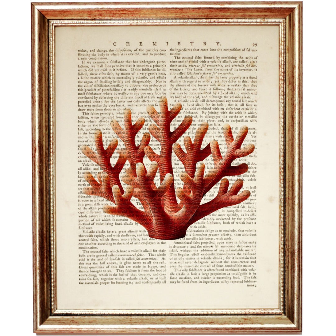 Coral Dictionary Art Print, Nautical Wall Decor, Ocean Lover Gift, Pink ...