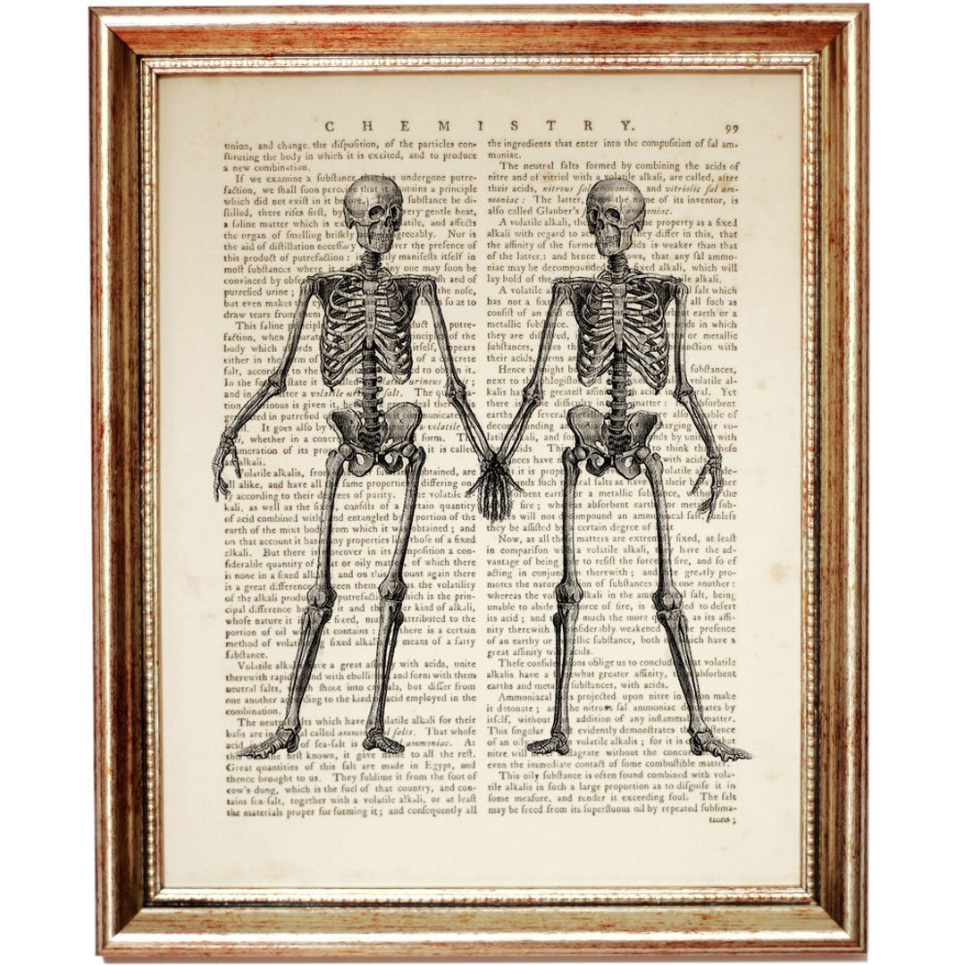 Skeleton Couple Art Print, Human Anatomical Vintage Dictionary Page ...