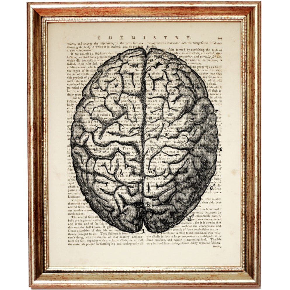 Human Brain Print, Antique Anatomy Art, Medical Science Wall Decor - Etsy