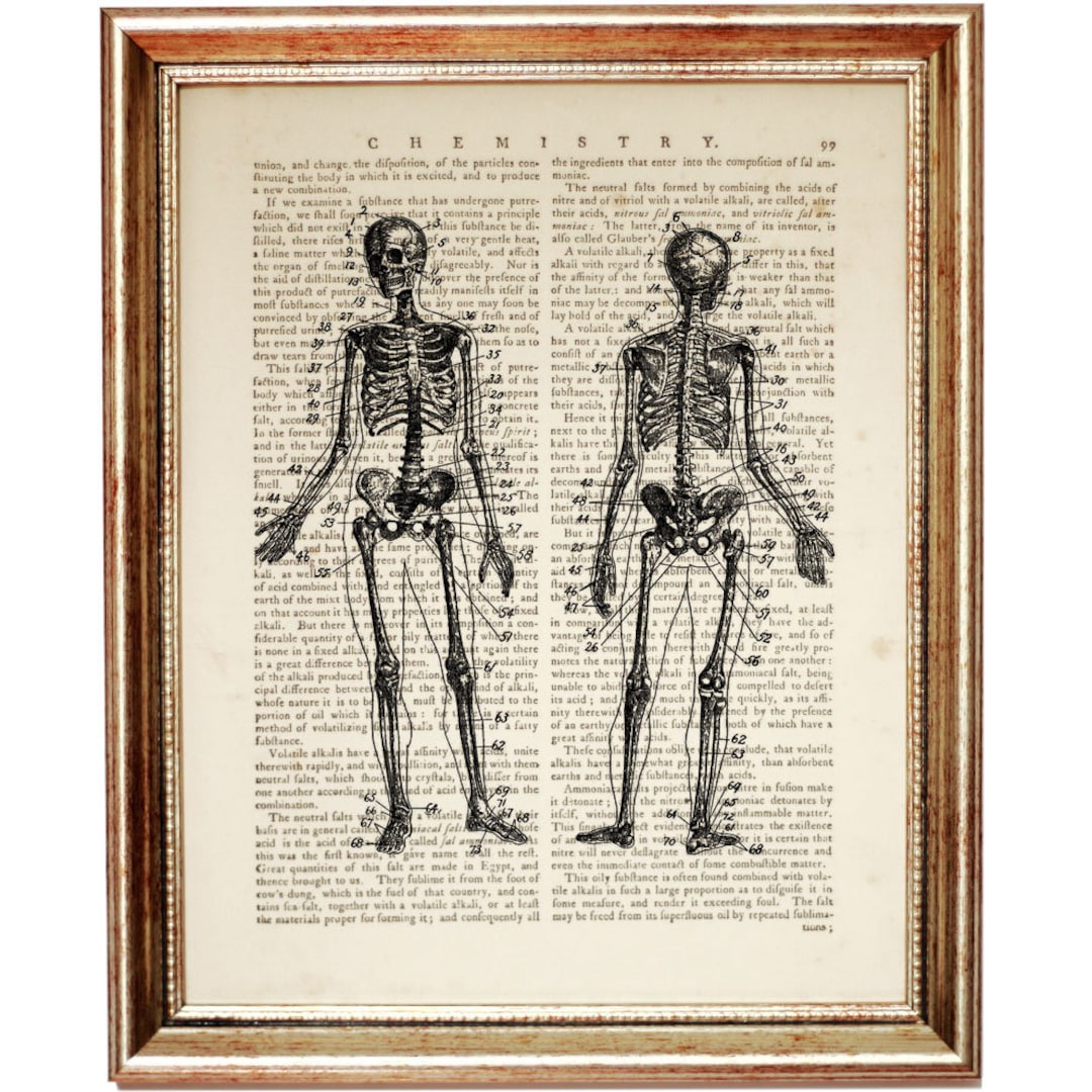 Skeleton Couple Dictionary Art Print, Anatomy Poister, Vintage Decor - Etsy