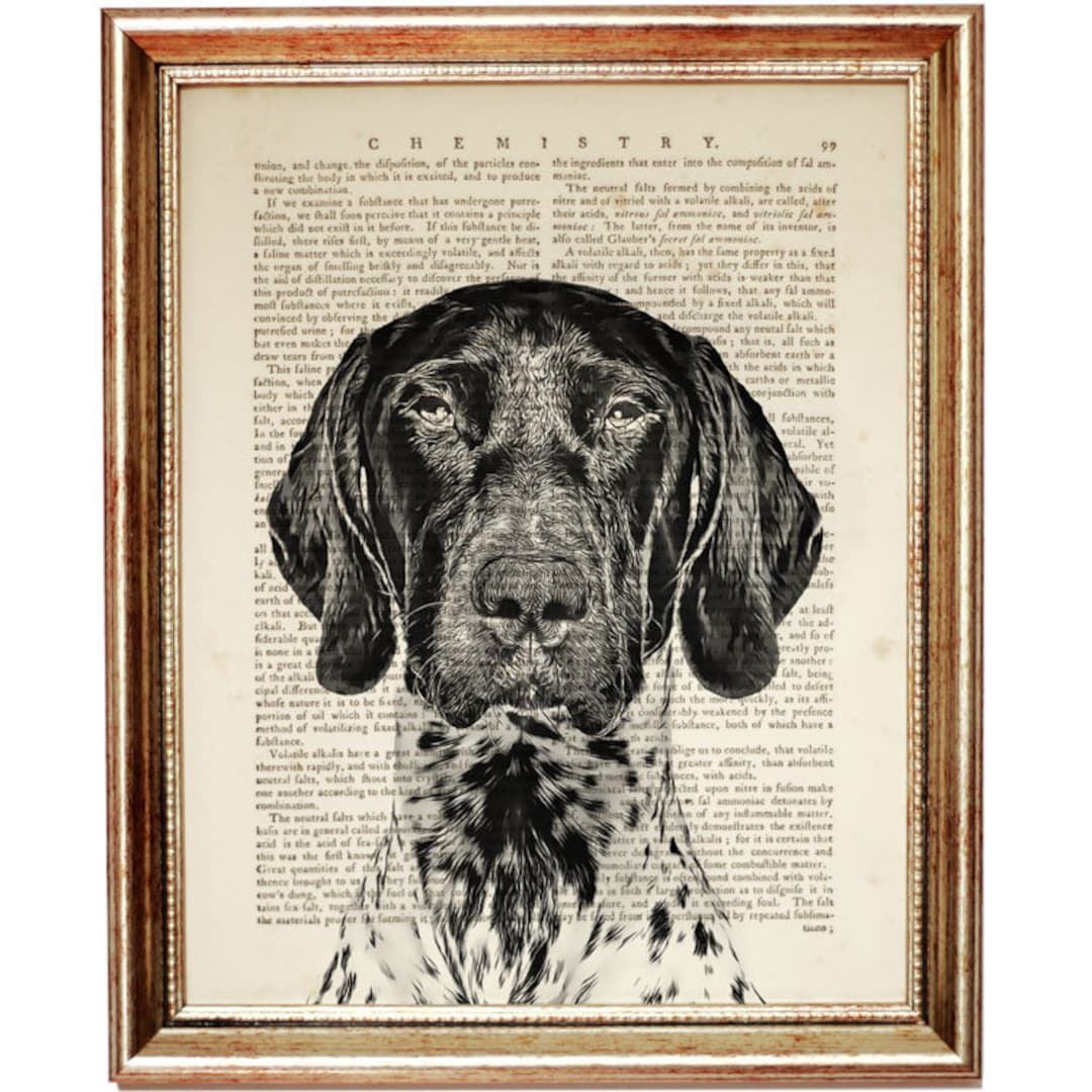 German Shorthaired Pointer Dog Dictionary Art Print, Dog Artwork, GSP ...