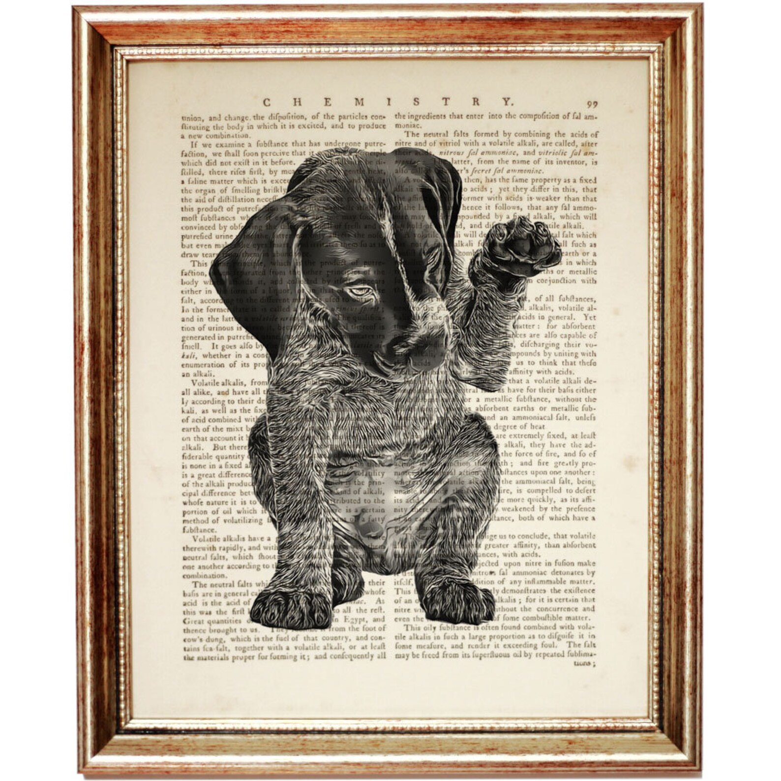 German Shorthaired Pointer Art Set, Set of 6 Dog Dictionary Art Prints ...