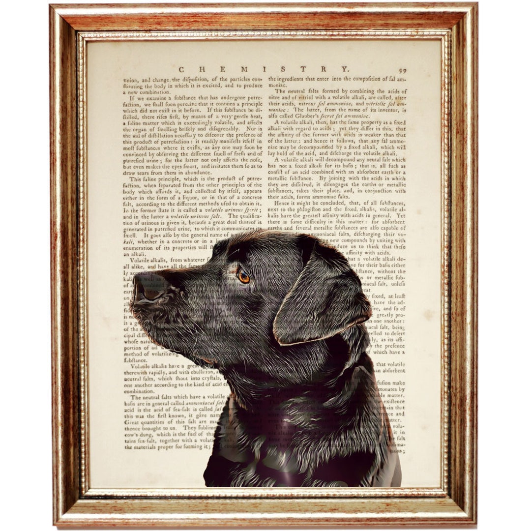 Labrador Dog Wall Decor, Chocolate Labrador Print, Dog Portrait ...