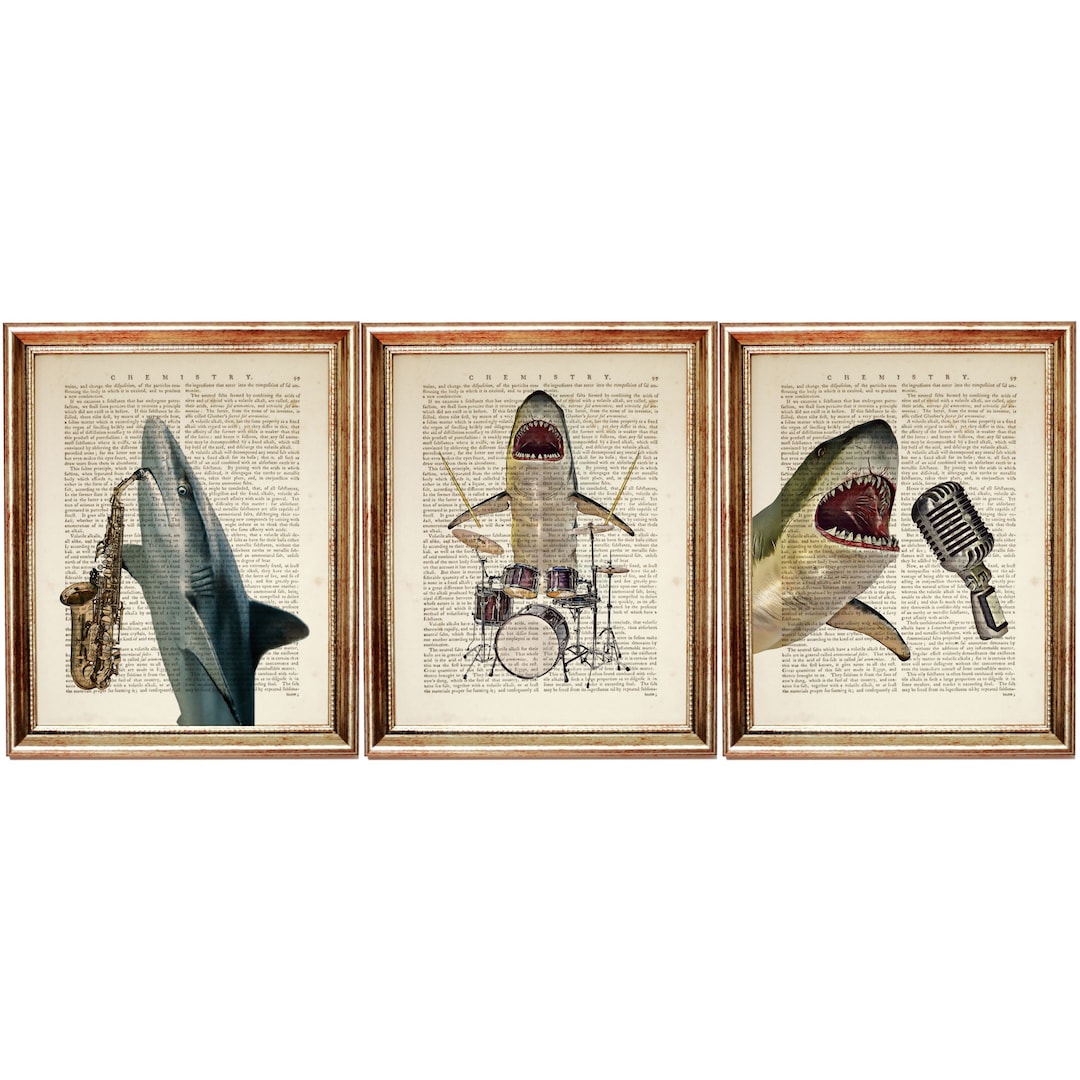 Set of 3 Wall Art, Shark Wall Art Set, Shark Playing Drums Dictionary ...