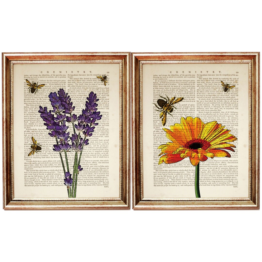 Set of 2 Prints, Botanical Dictionary Art Print, Lavender Poster ...