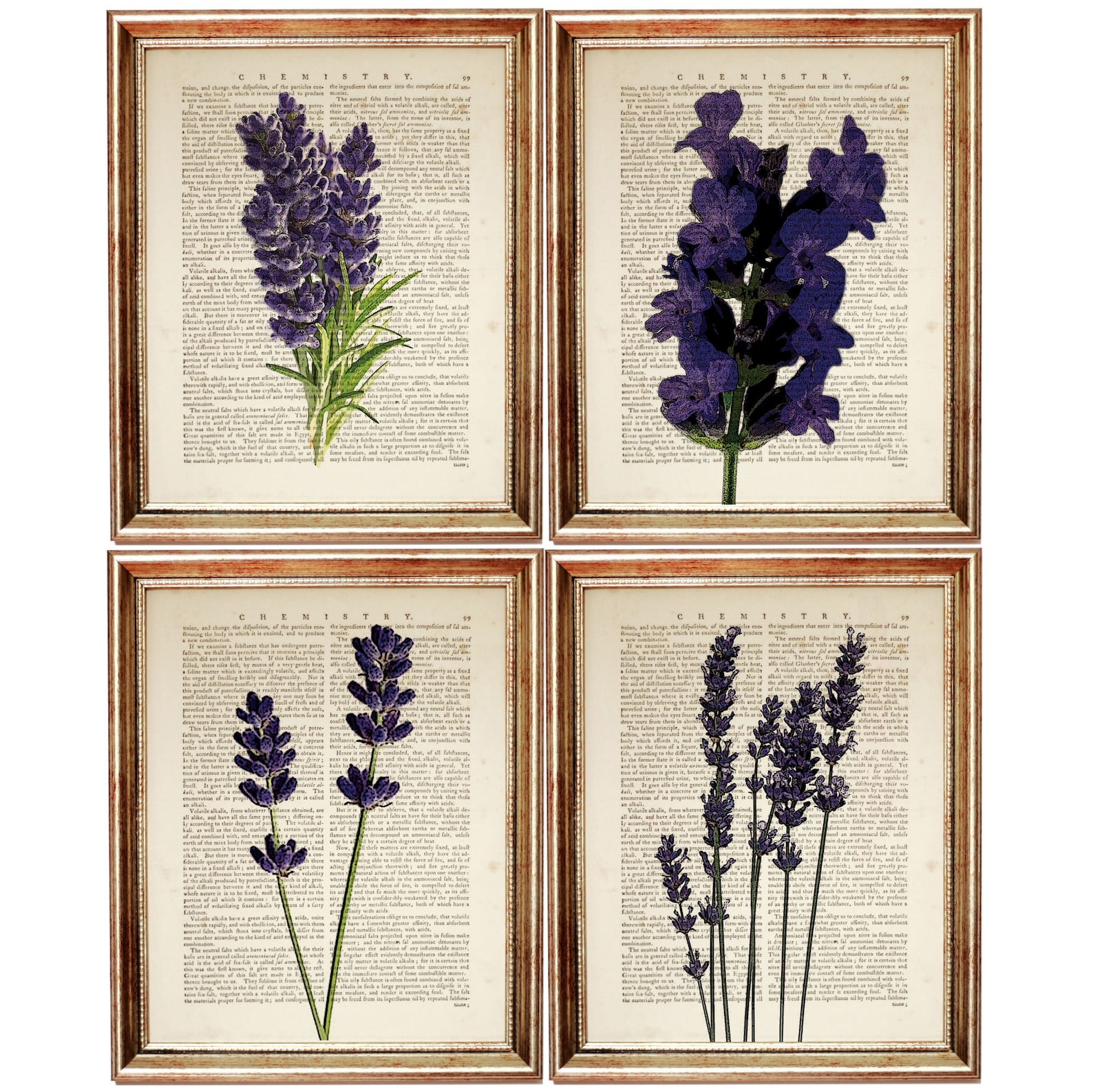 Set of 4 Lavender Botanical Dictionary Art Prints, Vintage Floral Wall ...