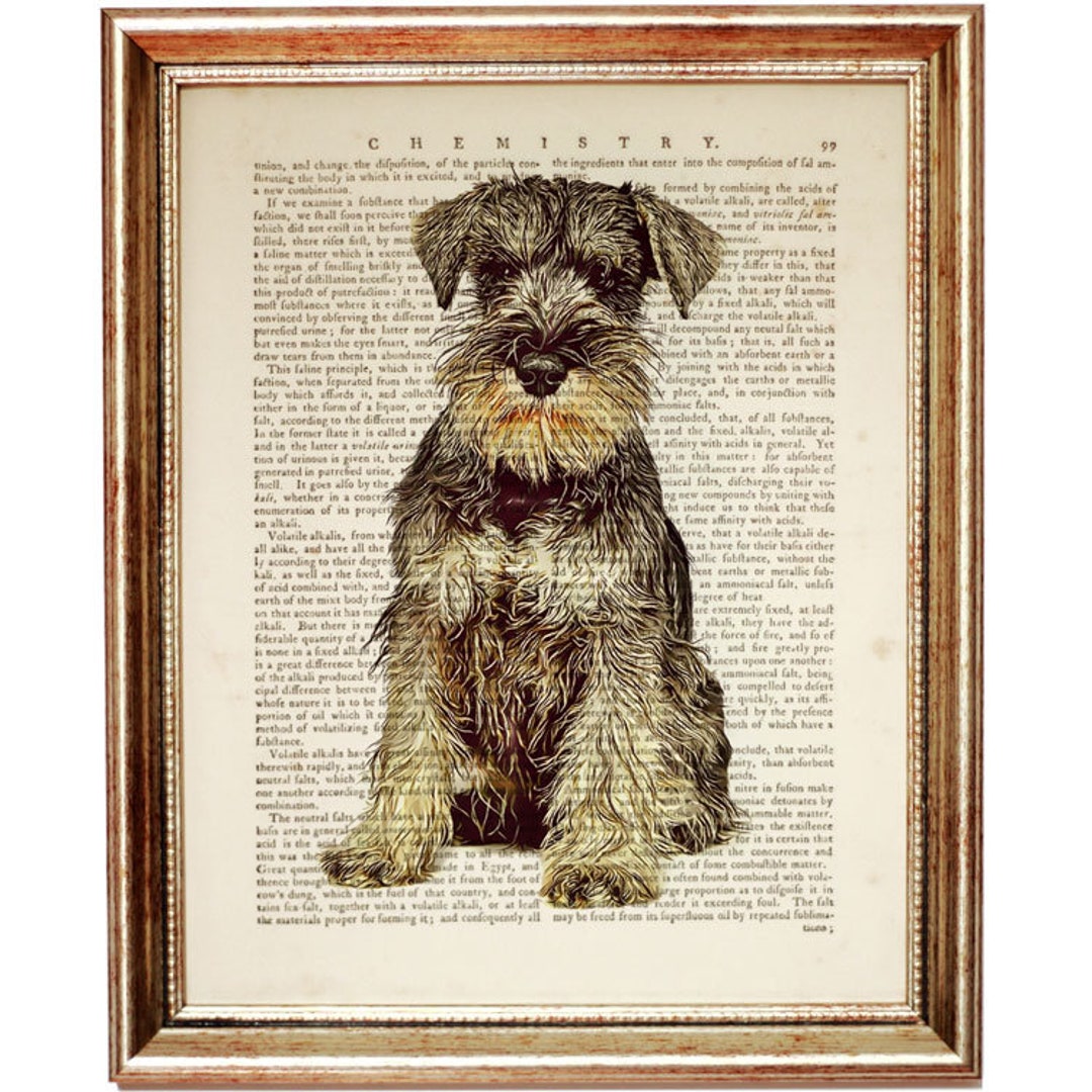 Miniature Schnauzer Dog Dictionary Art Print, Schnauzer Artwork ...