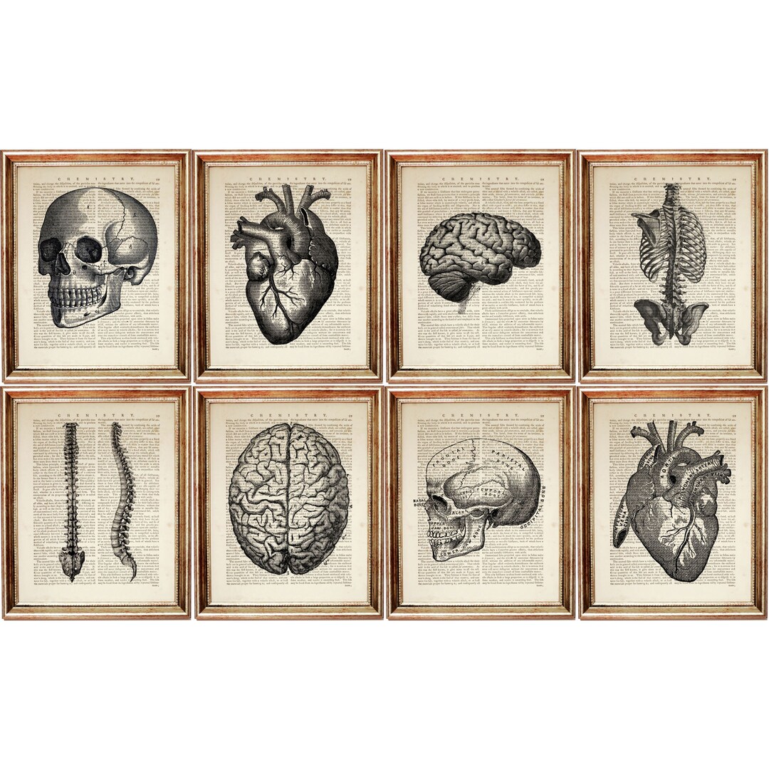 Set of 8 Anatomy Prints, Anatomical Dictionary Book Pages, Skull, Heart ...