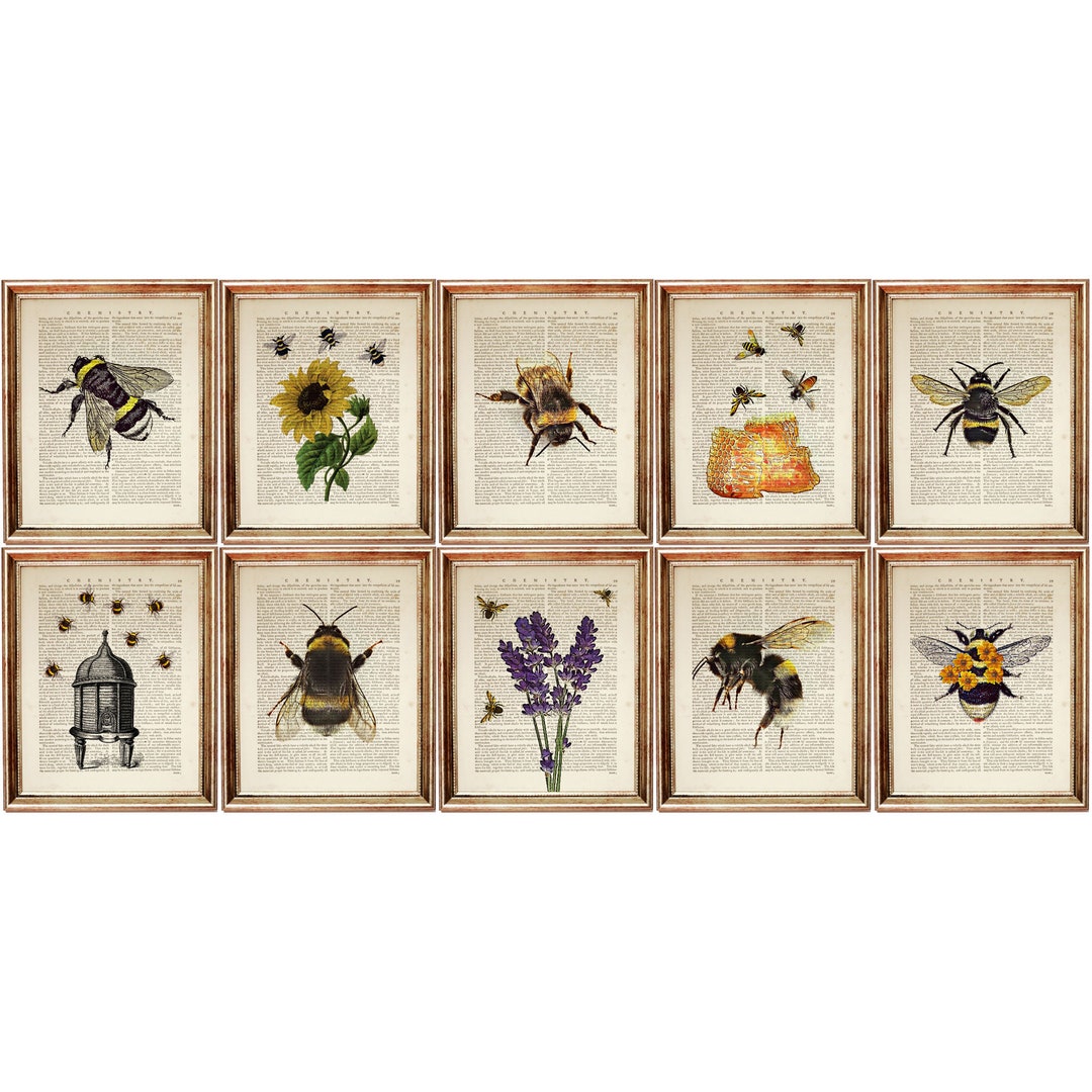 Set of 10 Botanical Dictionary Art Prints, Honeybee & Flower Posters - Etsy