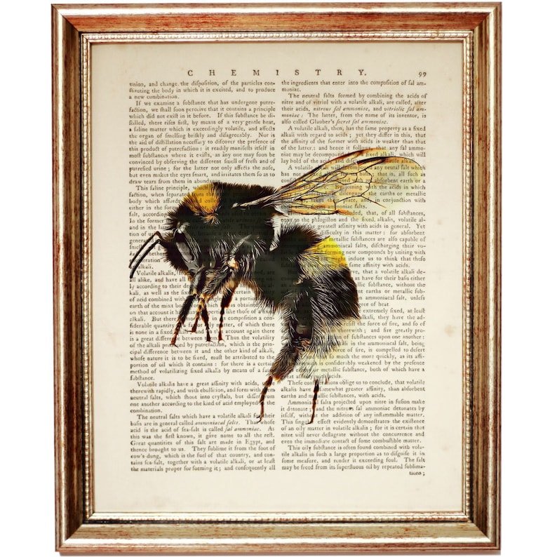 Set of 4 Prints Bumble Bee Wall Art Bumblebee Nursery Decor | Etsy