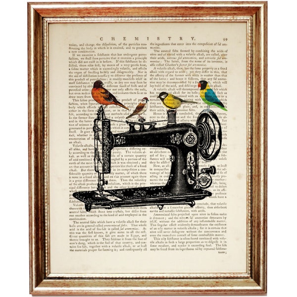 Bird Dictionary Art - Etsy