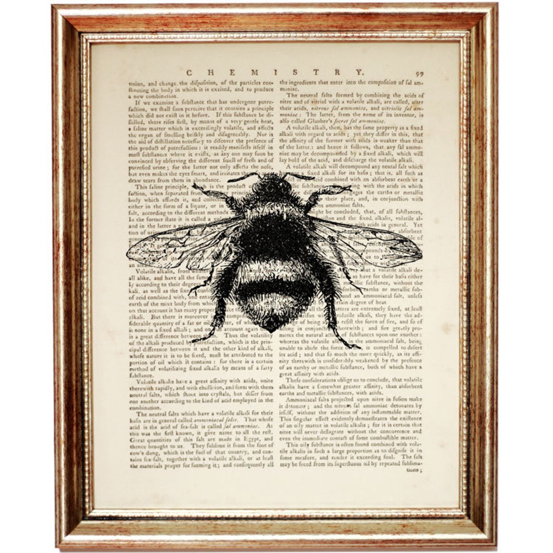 Bee Print on Antique Dictionary Page, Bumblebee Illustration, Bumble ...