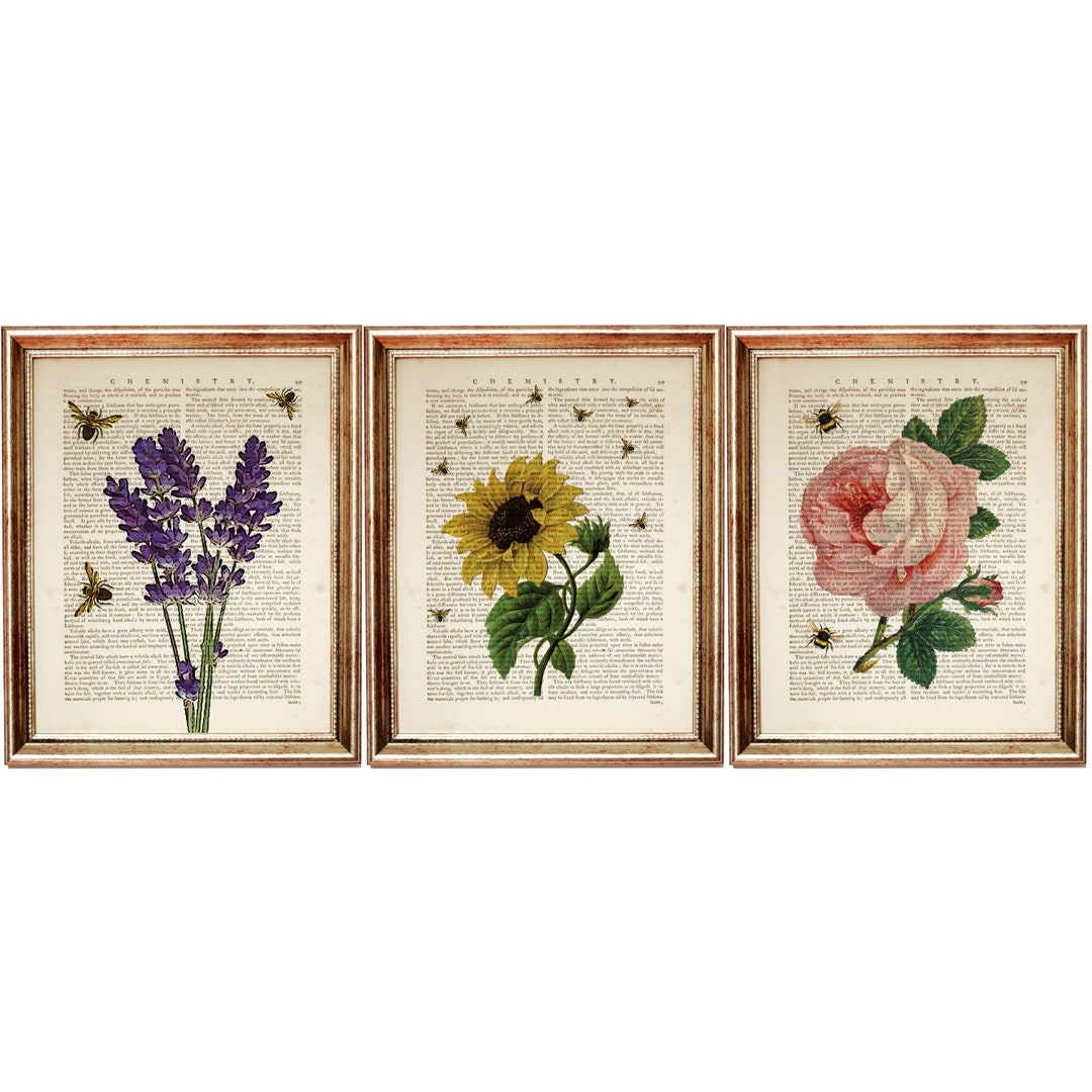 Set of 3 Botanical Dictionary Art Prints, Flower With Bees Poster Set ...