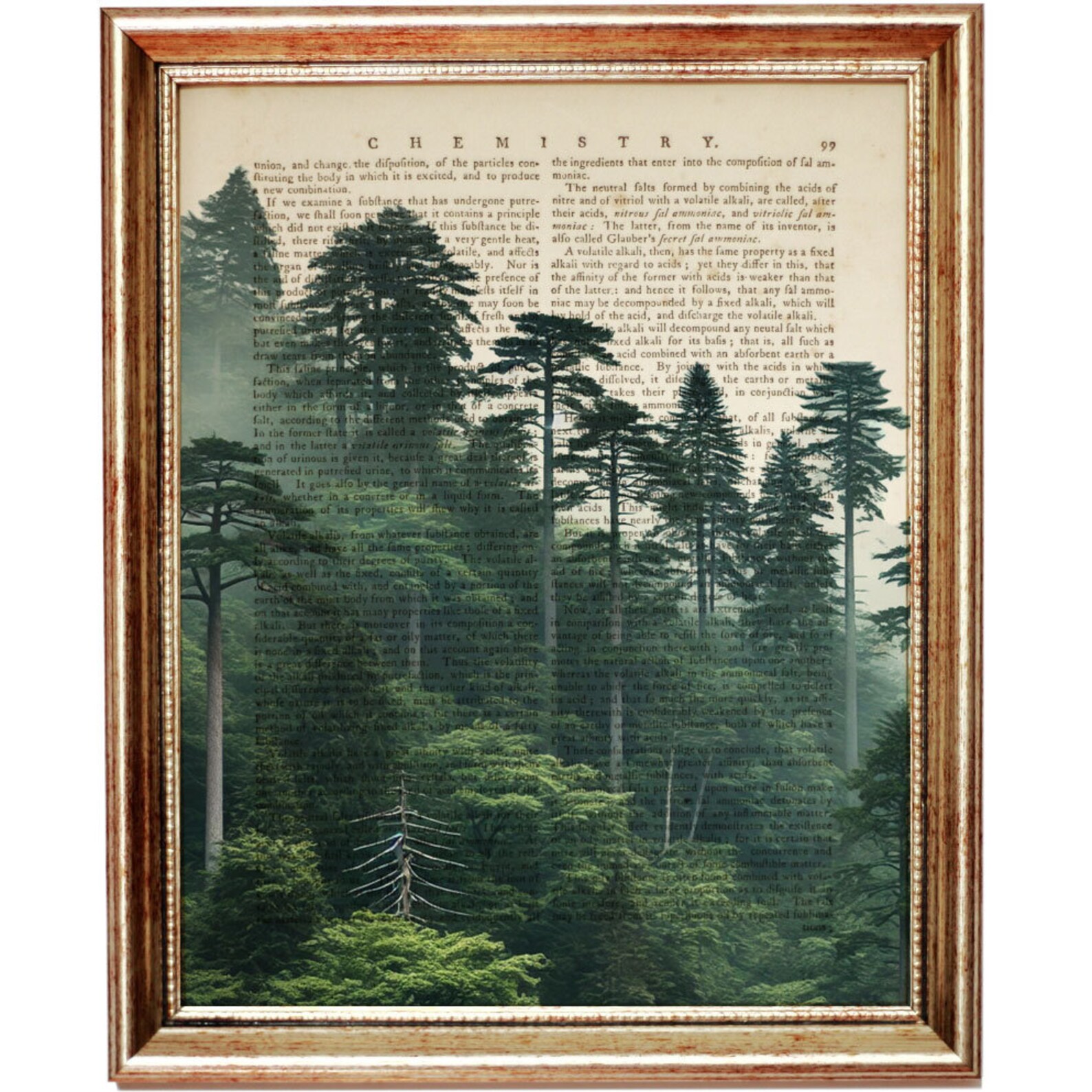 Set of 3 Forest Pine Tree Dictionary Art Prints, Nature Lover Gift ...