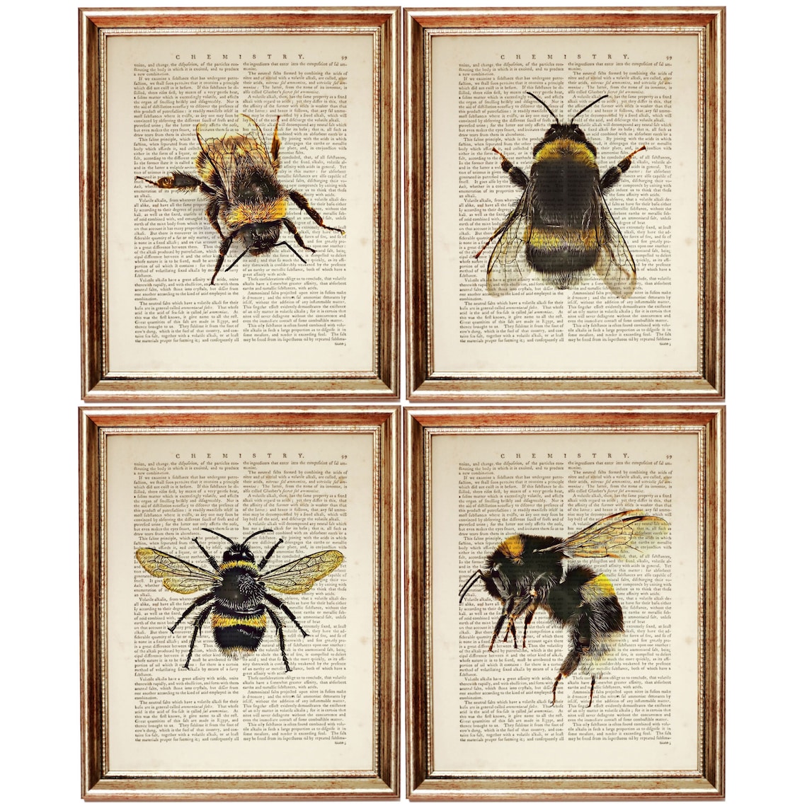 Set of 4 Prints Bumble Bee Wall Art Bumblebee Nursery Decor | Etsy