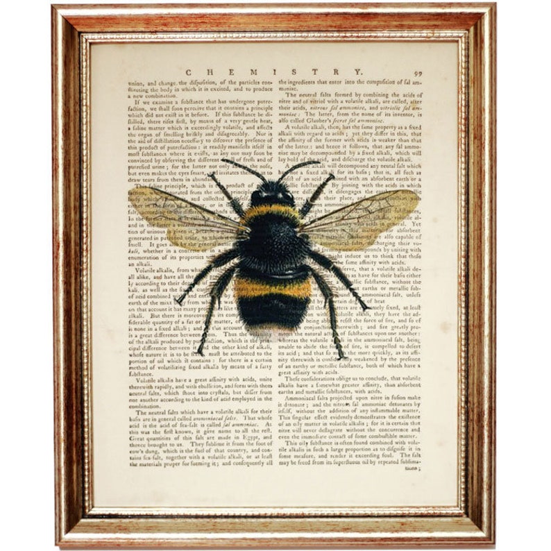 Set of 3 Prints Botanical Wall Art Set Bee Nursery Wall Art - Etsy