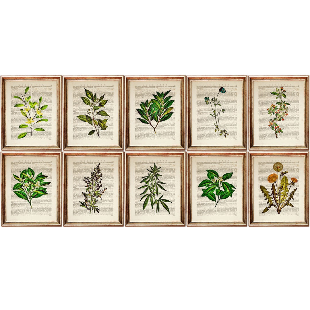 Botanical Dictionary Art Print Set: Herbal Greenery Home Decor - Etsy