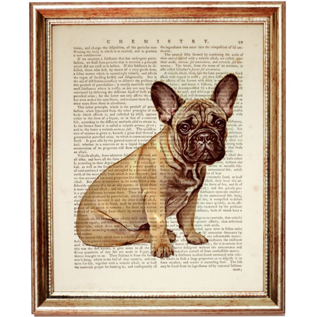 French Bulldog Art Print on Vintage Book Page, Frenchie Wall Art ...