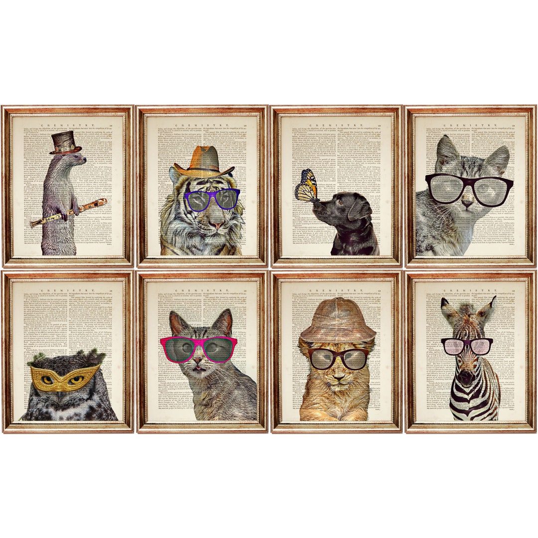 Set of 8 Wall Art, Funny Animal Prints, Animal Portrait Dictionary Art ...