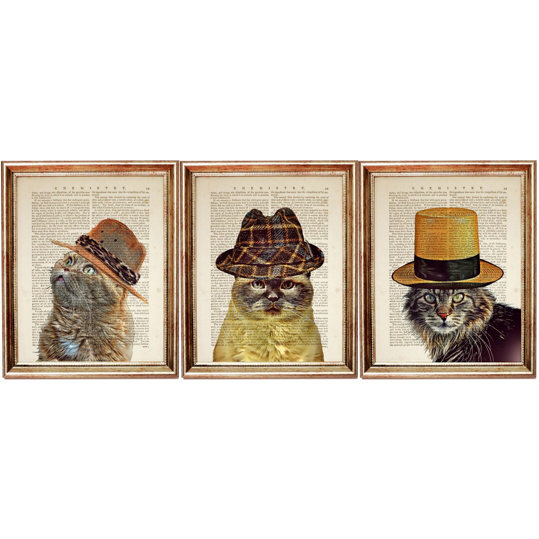 Set of 3 Cat With Hat Prints, Quirky Pet Dictionary Wall Art - Etsy