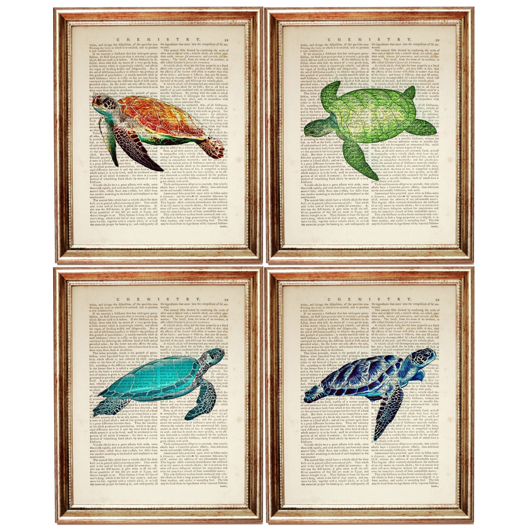 Sea Turtle Prints Set: Vintage Dictionary Art, Coastal Wall Decor - Etsy