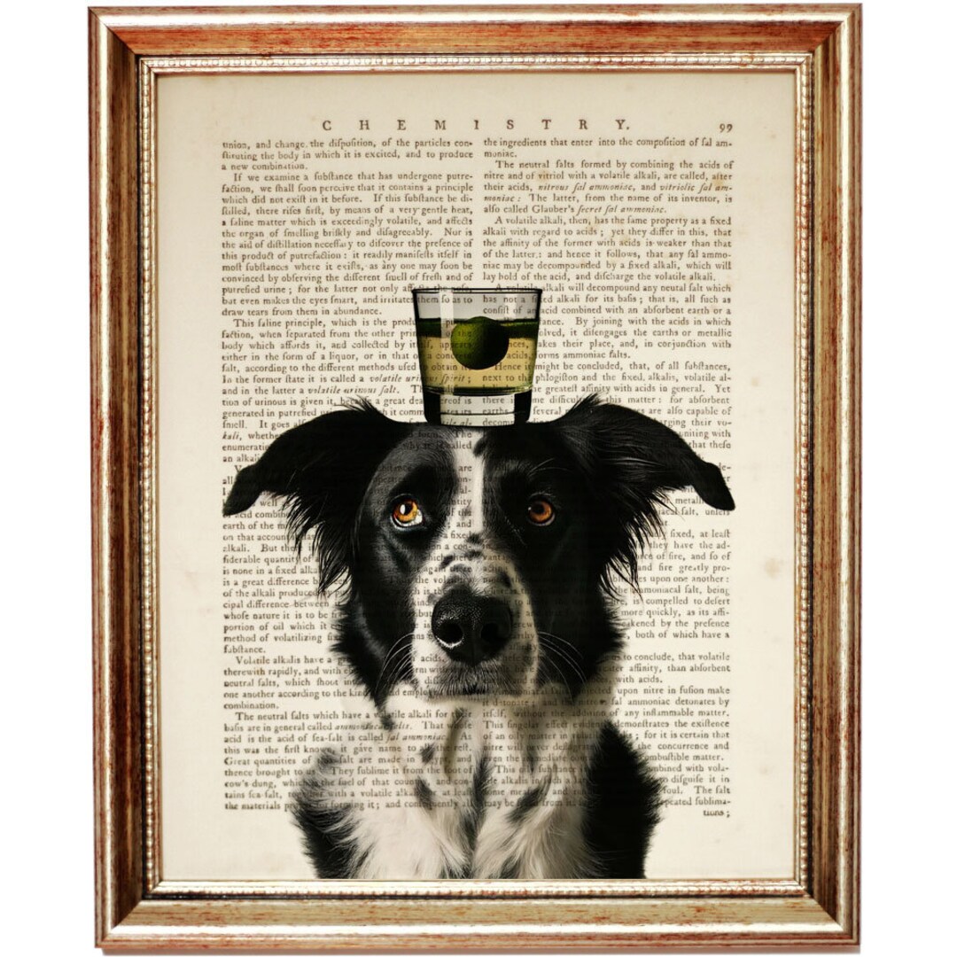 Border Collie Poster, Dog Dictionary Art Print, Pet Portrait With ...
