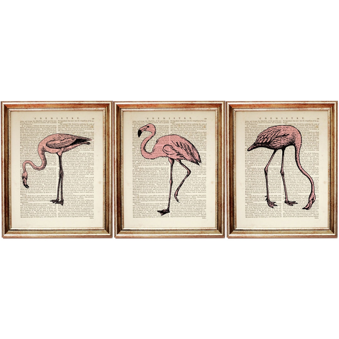 Set of 3 Prints, Pink Flamingo Art Print, Pink Flamingo Poster, Pink ...