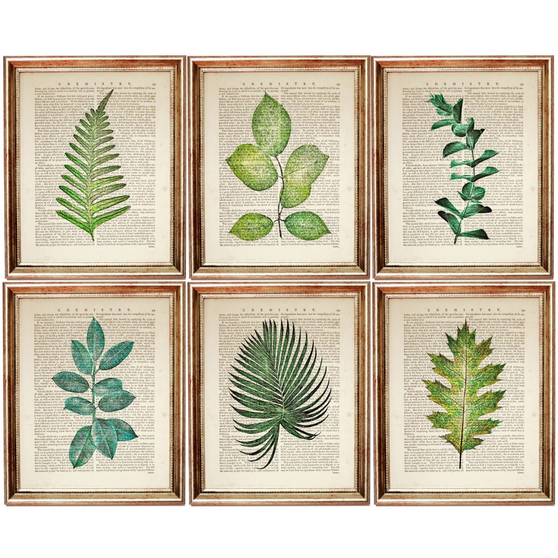 Botanical Poster - Etsy