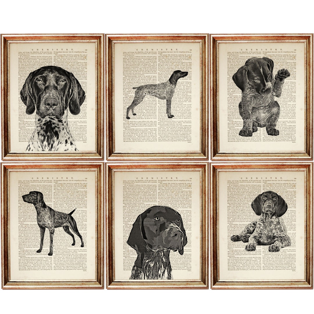 German Shorthaired Pointer Art Set, Set of 6 Dog Dictionary Art Prints ...