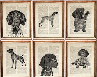 German Shorthaired Pointer Wall Art GSP Print Pointer Dog - Etsy