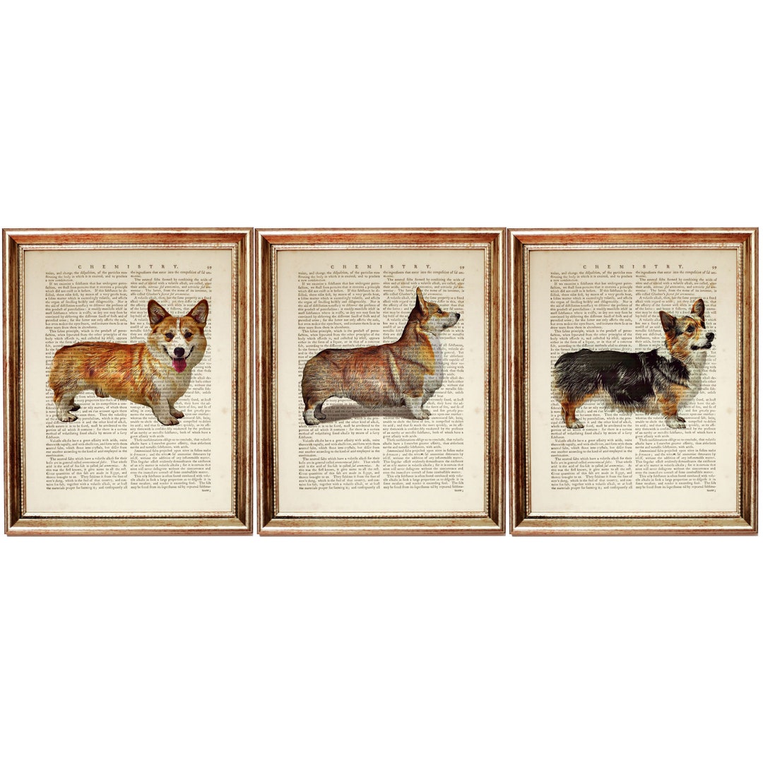 Set of 3 Art Print, Pembroke Welsh Corgi Wall Art, Corgi Wall Art, Dog ...