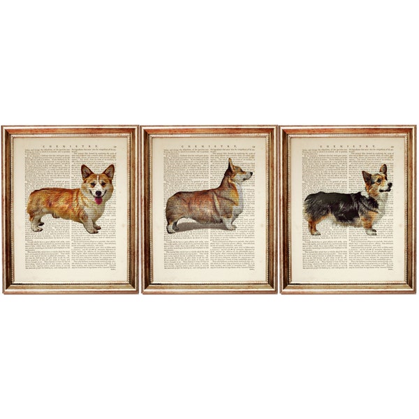 Corgi Wall Art - Etsy