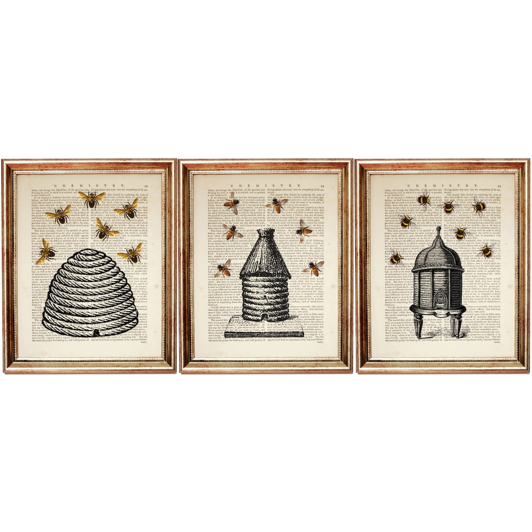 Set of 3 Wall Art, Beehive Wall Art Print Set of 3, Honey Bee Wall ...