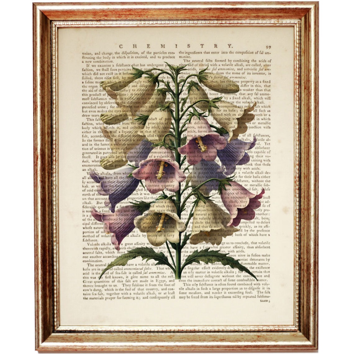 Botanical Bell Flowers Dictionary Art Print, Vintage Book Page Wall Art ...