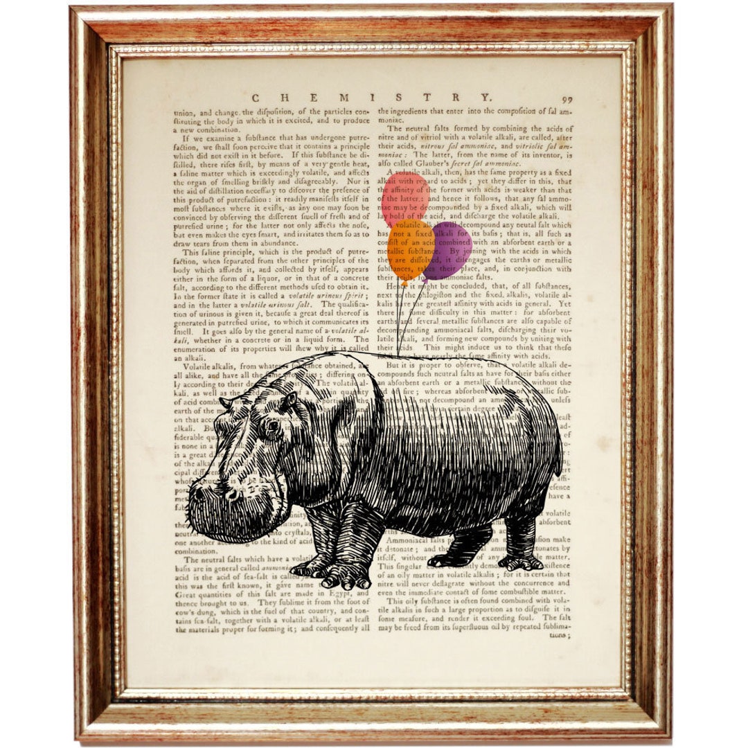 Hippo Wall Art, Black and White Hippopotamus With Three Colourful ...