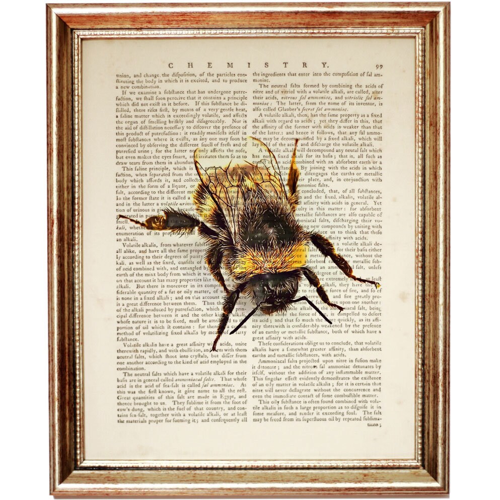 Set of 4 Prints, Bumble Bee Wall Art, Bumblebee Nursery Decor ...