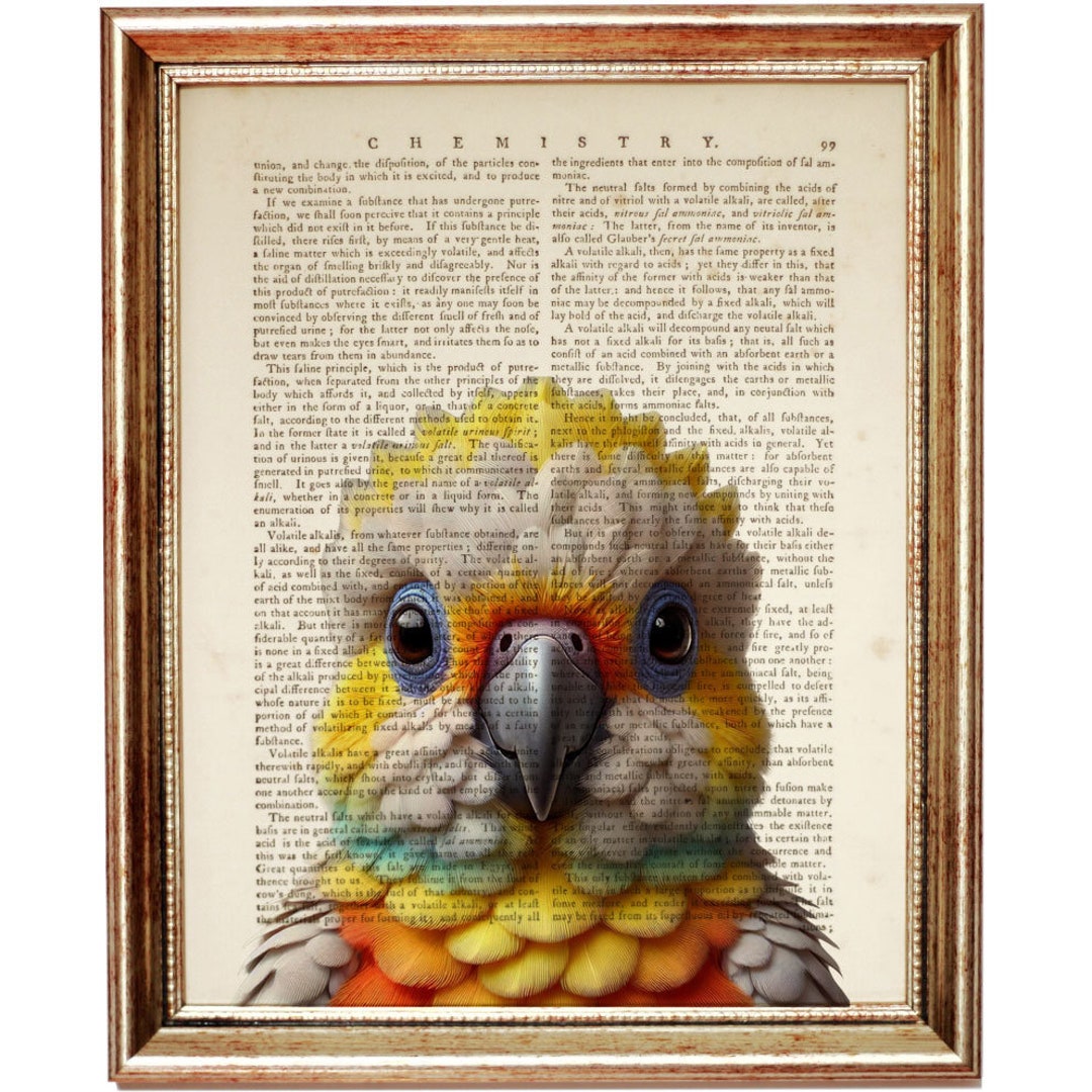 Baby Cockatoo Dictionary Art Print, Vibrant Bird Poster, Colorful Bird ...