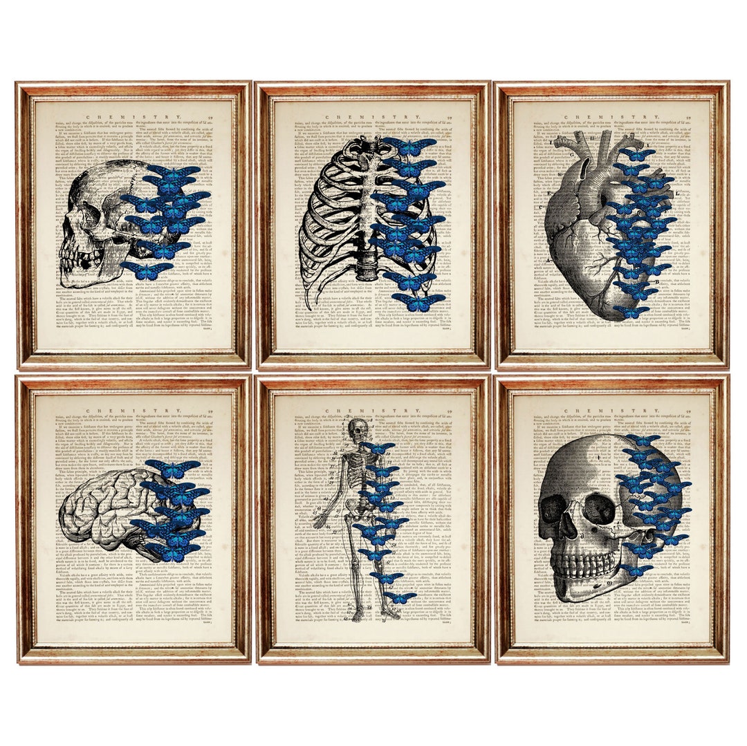 Set of 6 Anatomy Art Prints With Blue Butterflies, Surreal Anatomical ...
