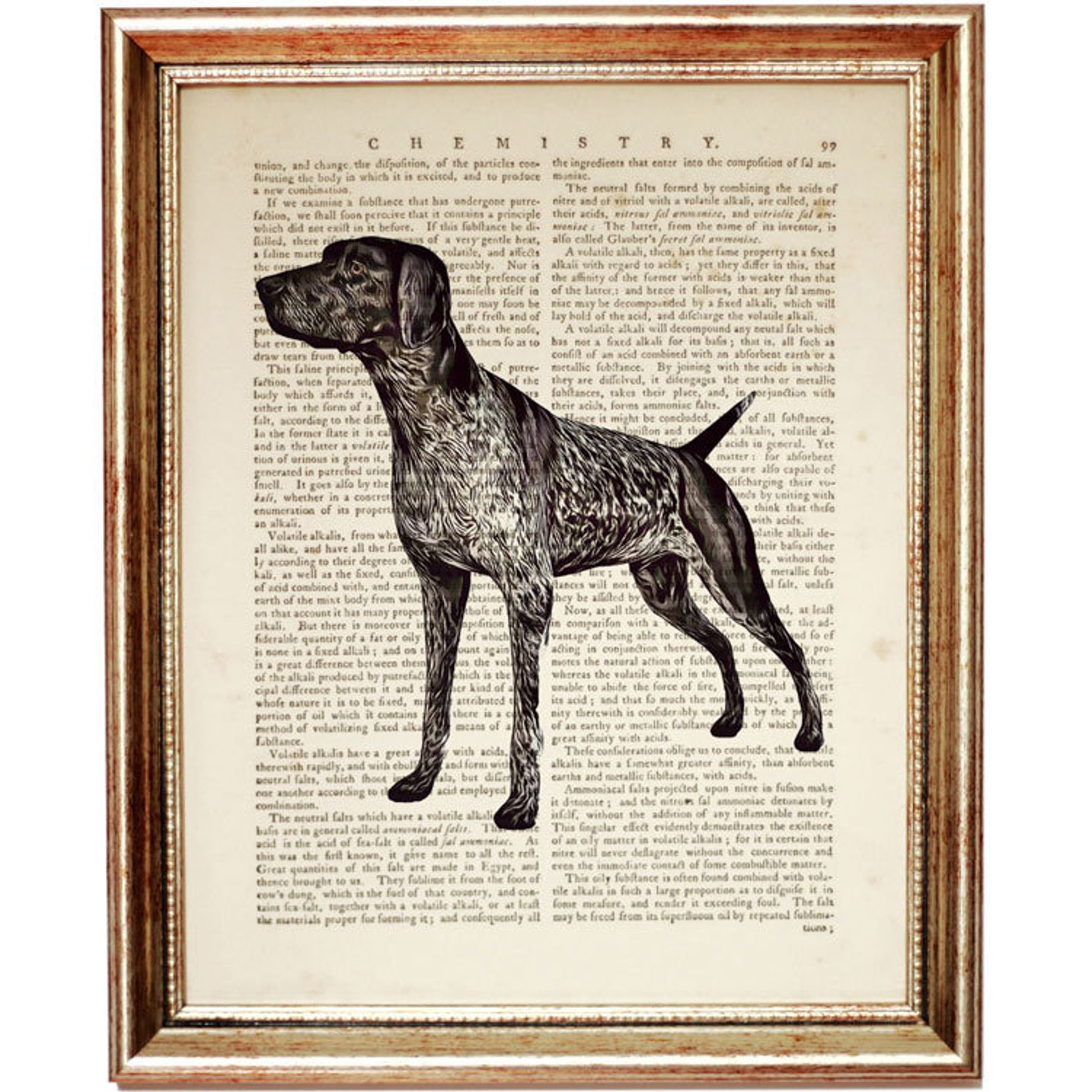 German Shorthaired Pointer Wall Art GSP Poster GSP Print - Etsy