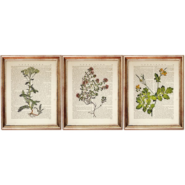 Botanical Print Set - Etsy